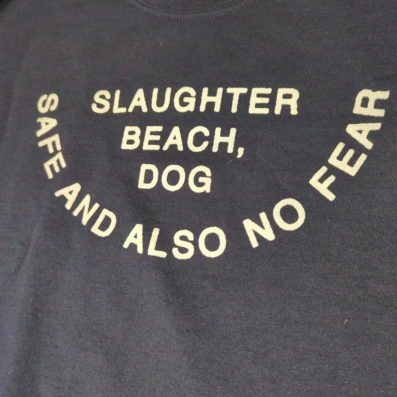 Slaughter Beach Dog crew neck. Only worn a few... - Depop