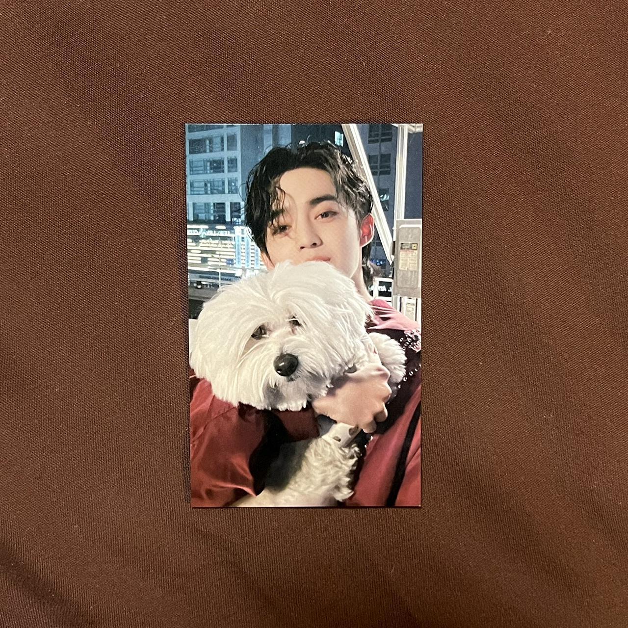 official seventeen scoups exclusive fml tokyo dome... - Depop