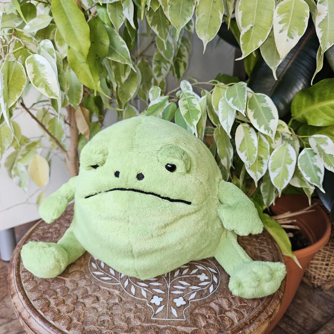 Ricky the Rain Frog Jellycat Brand New with tags - Depop