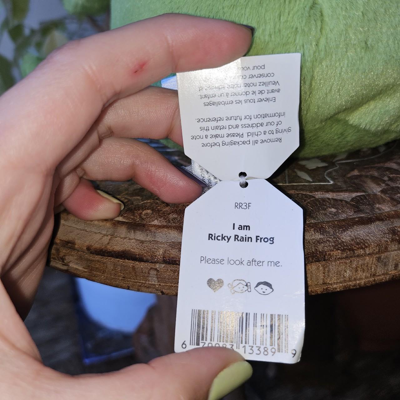 Ricky the Rain Frog Jellycat Brand New with tags - Depop