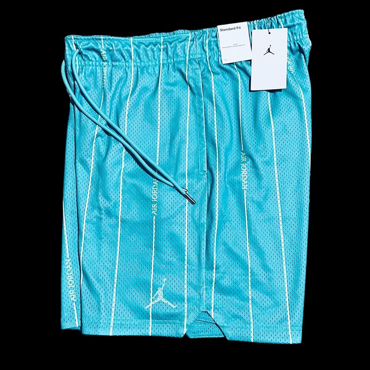 NIKE Air Jordan Mesh Shorts Mens Small Teal Green... - Depop