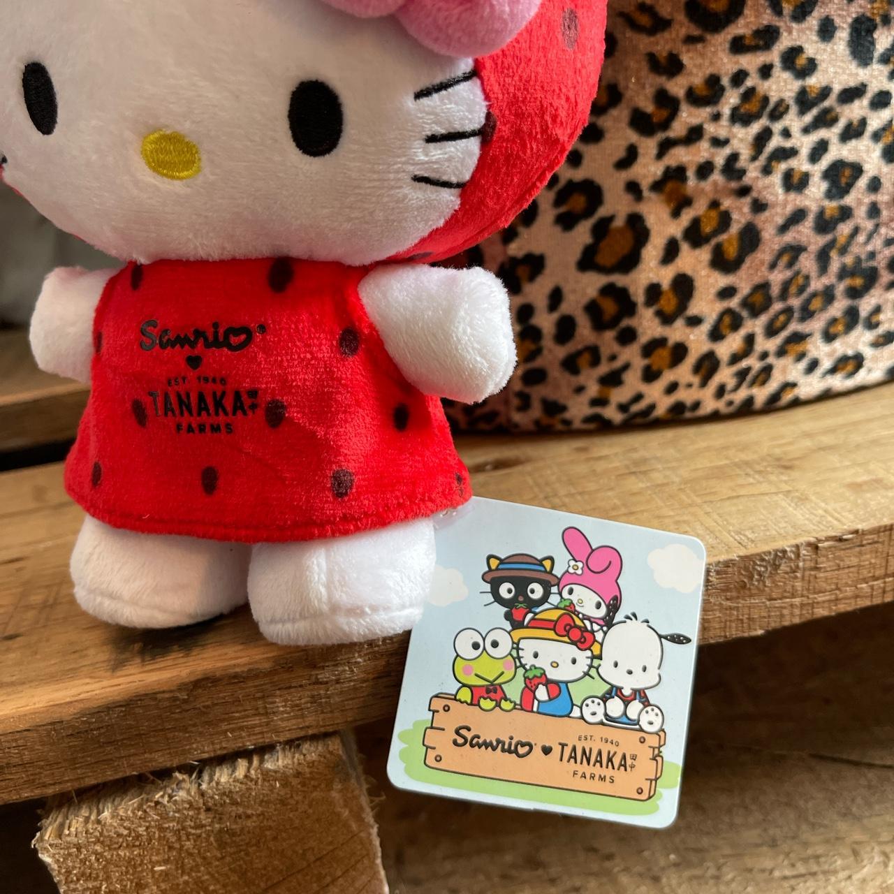SUPER CUTE STRAWBERRY HELLO KITTY MINI... - Depop