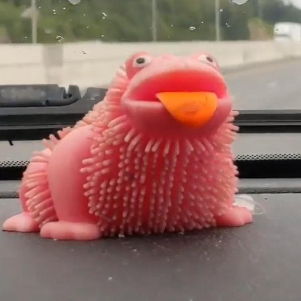 ISO: pink dollar tree frog puffer toy !! this is a... - Depop