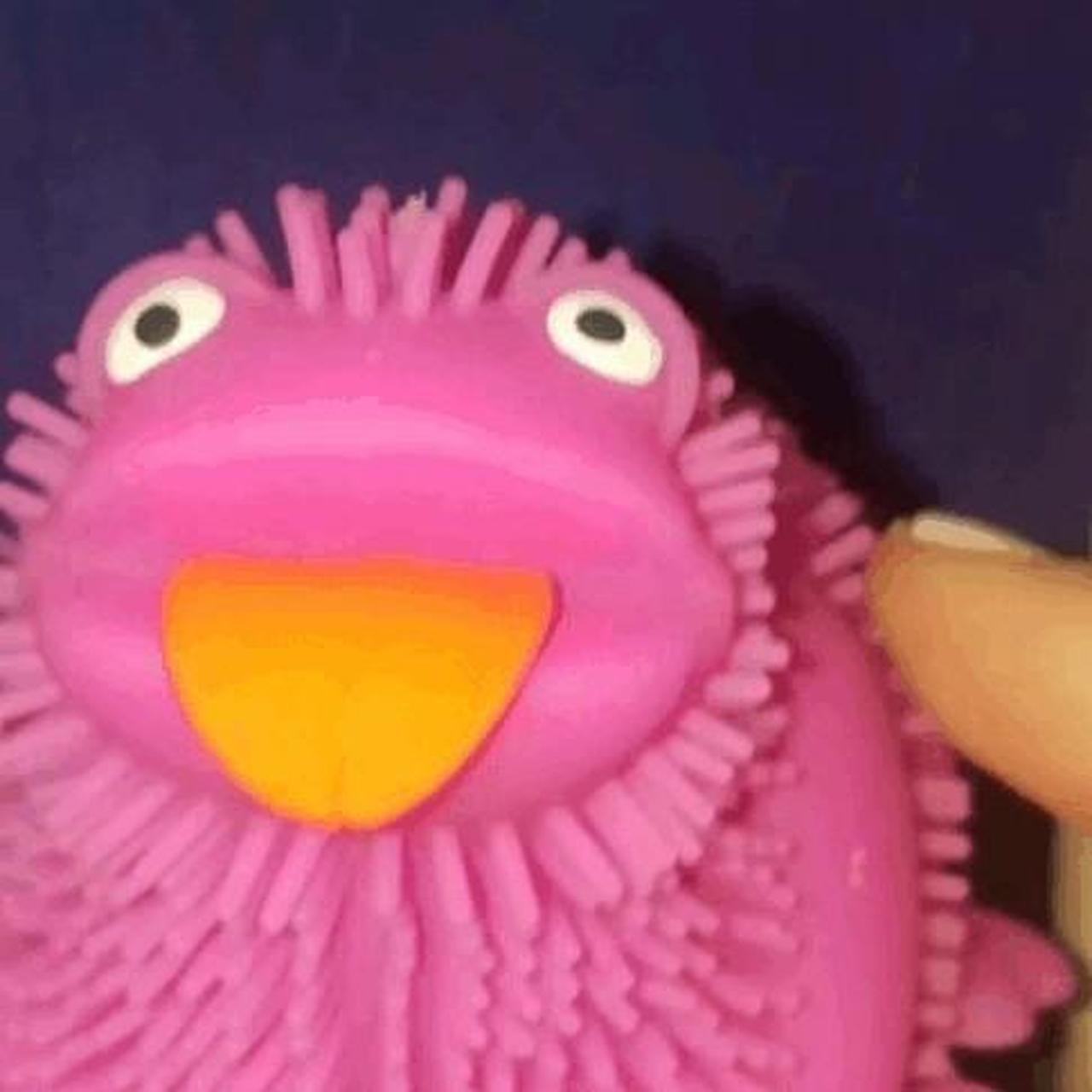 ISO: pink dollar tree frog puffer toy !! this is a... - Depop