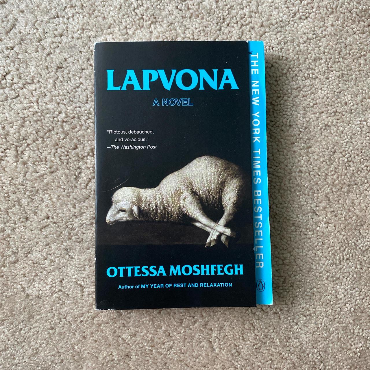 Lapvona book perfect condition - Depop