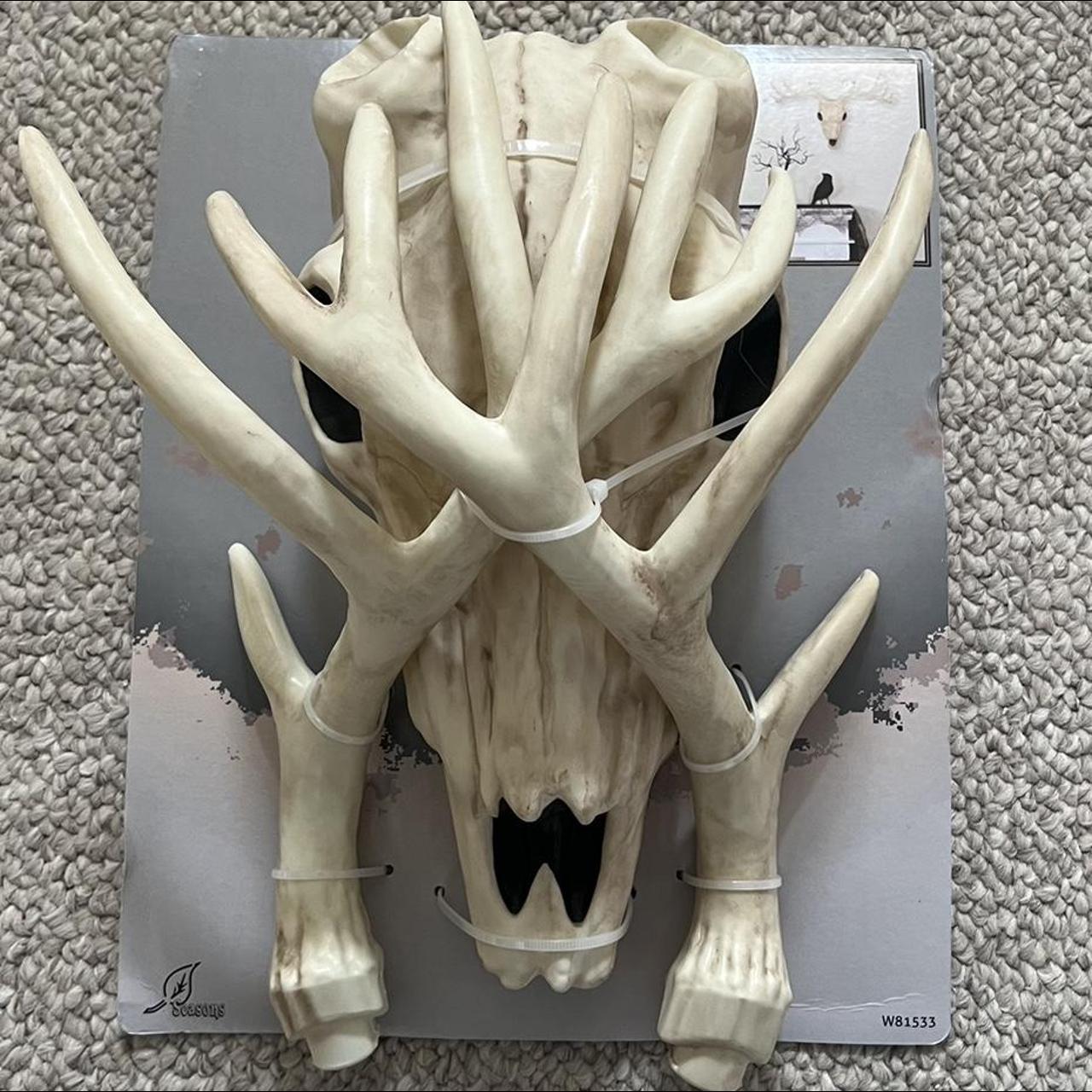 Halloween decoration fake buck skull wall decor.... - Depop