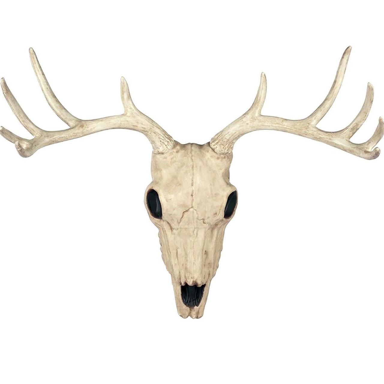 Halloween decoration fake buck skull wall decor.... - Depop