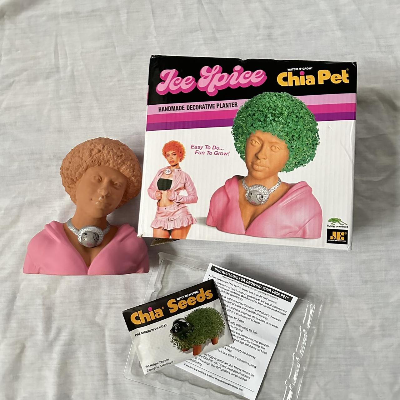 ice spice chia pet / never used / comes with box and... - Depop