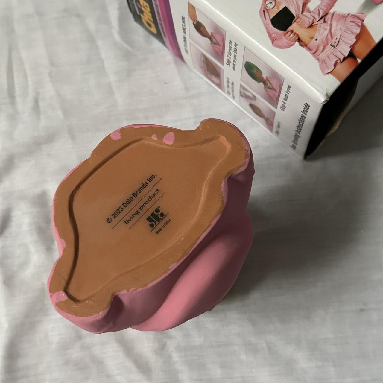 ice spice chia pet / never used / comes with box and... - Depop