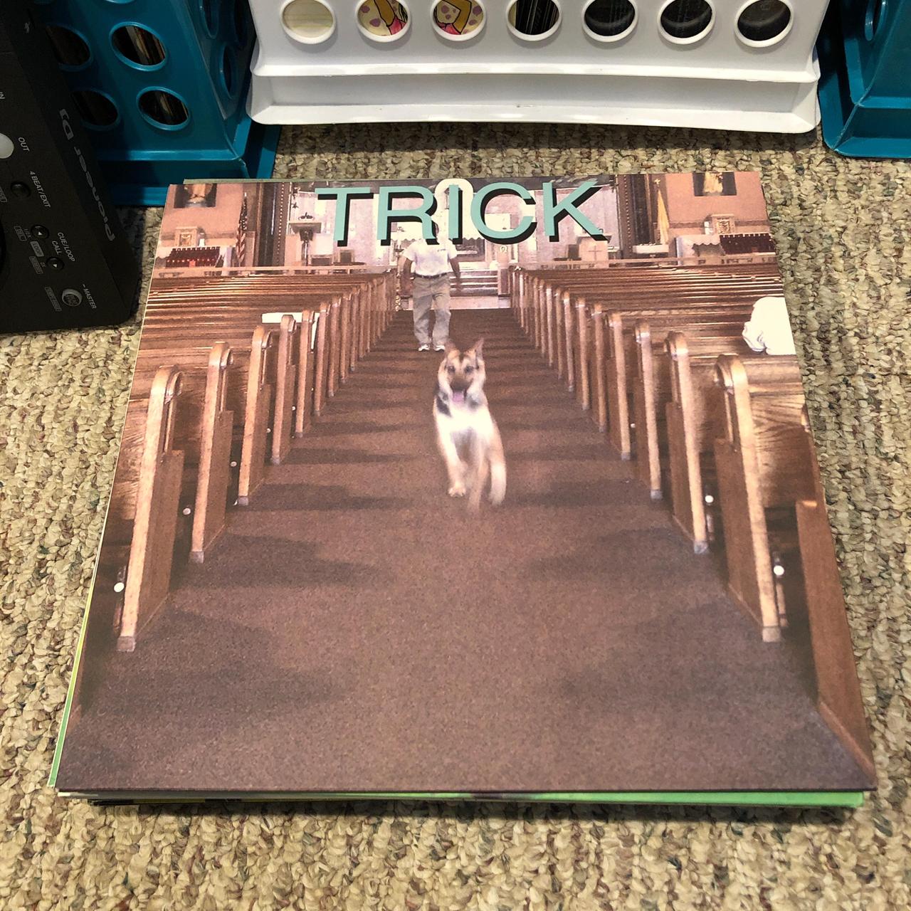 Alex G Trick Vinyl with digital download card - Depop
