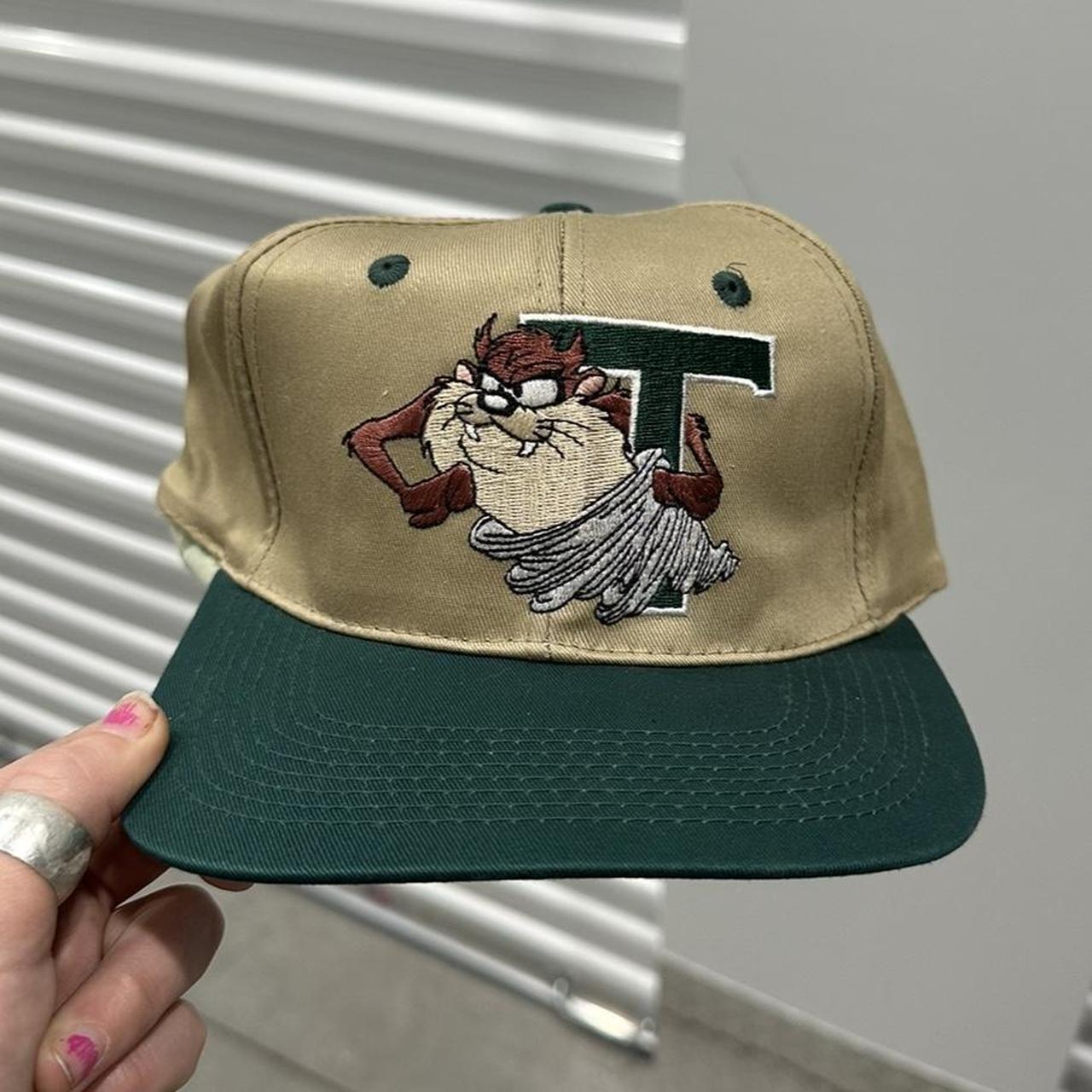 Vintage Taz Looney Tunes Hat - Depop