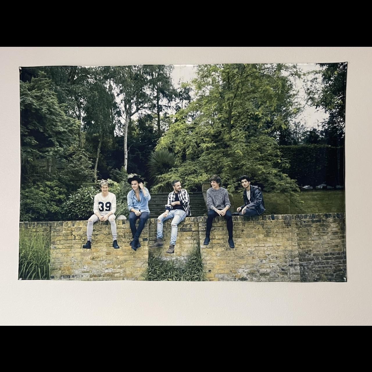 One direction four photo shoot tapestry... - Depop