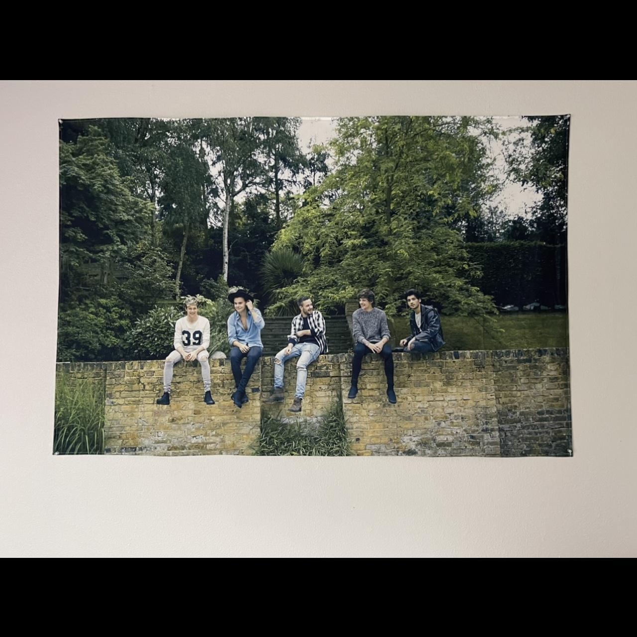 One direction four photo shoot tapestry... - Depop