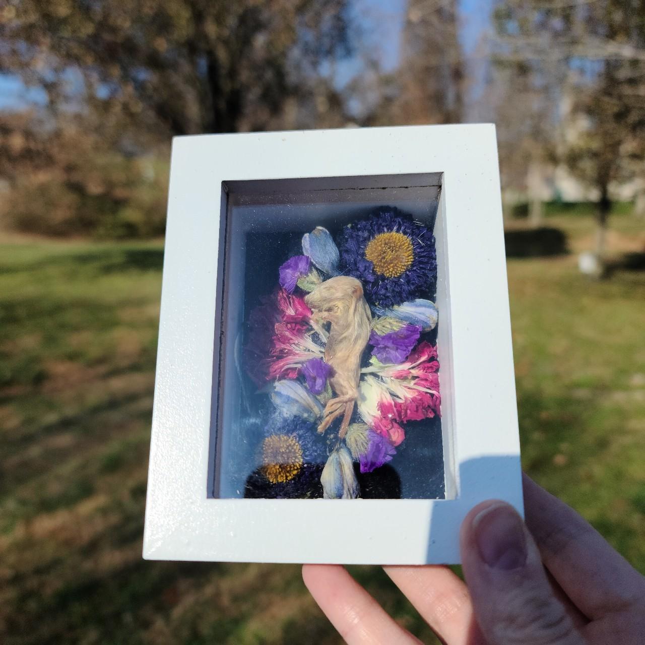 ALL SHADOWBOXES BOGO HALF OFF!! This listing is for... - Depop