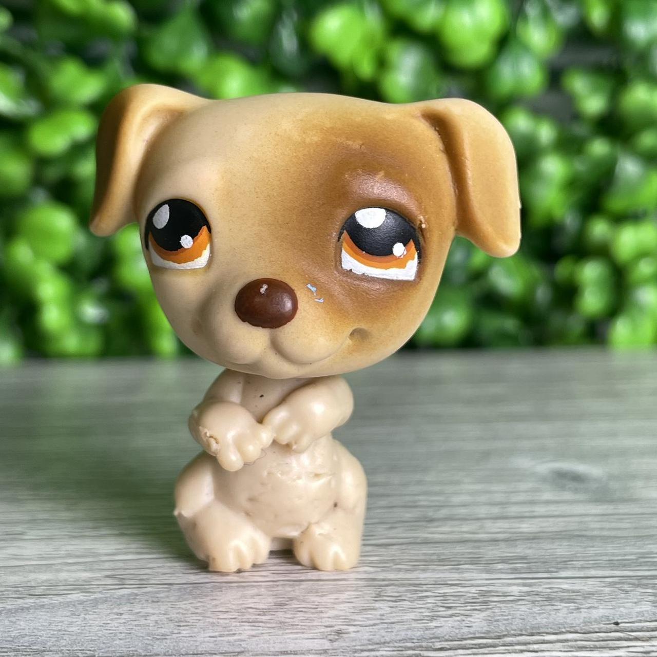 - the largest lps shop here 🌐🐾 ╭──────────.★..─╮ ... - Depop