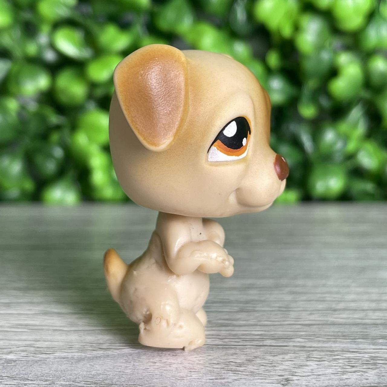 - the largest lps shop here 🌐🐾 ╭──────────.★..─╮ ... - Depop