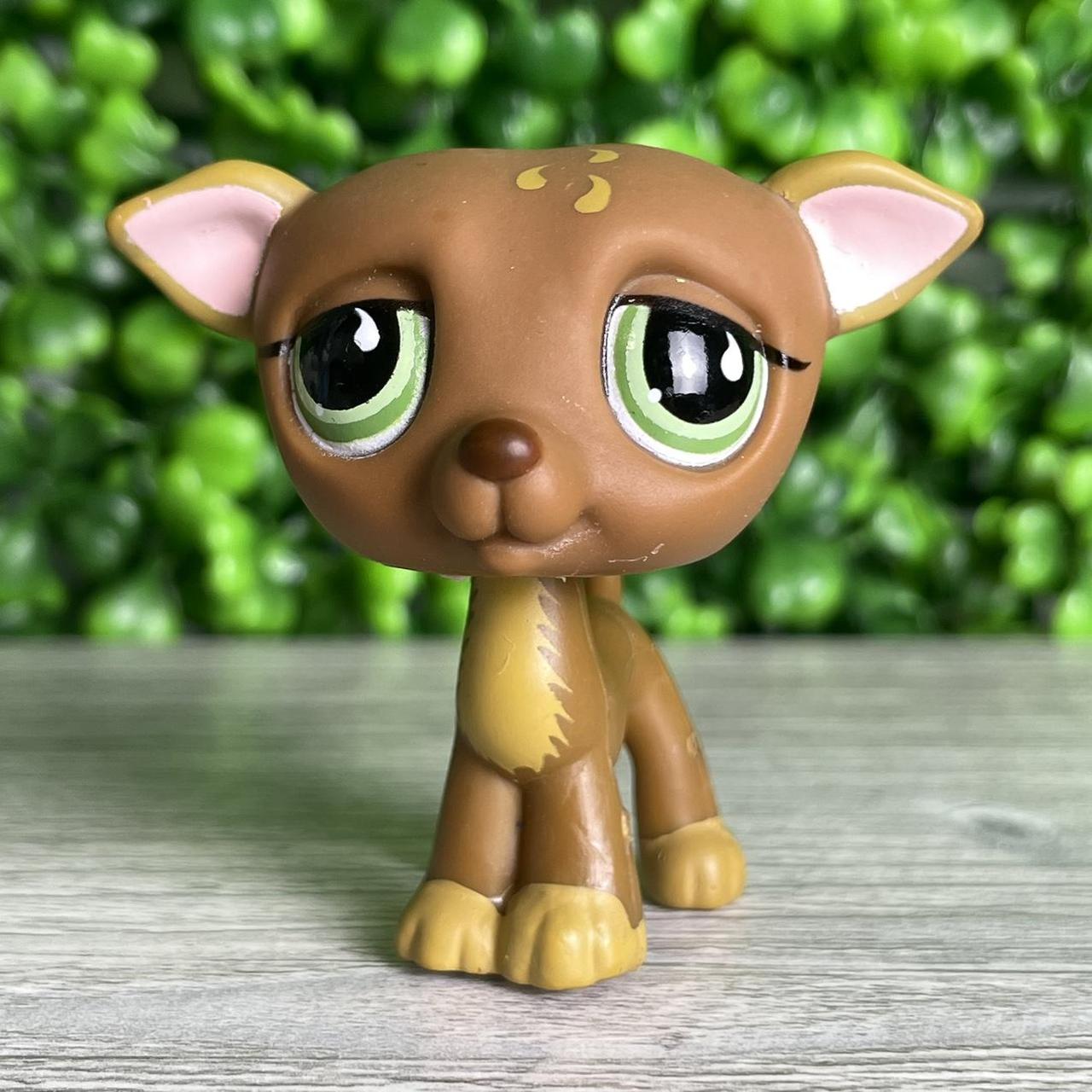 - the largest lps shop here 🌐🐾 ╭──────────.★..─╮ ... - Depop