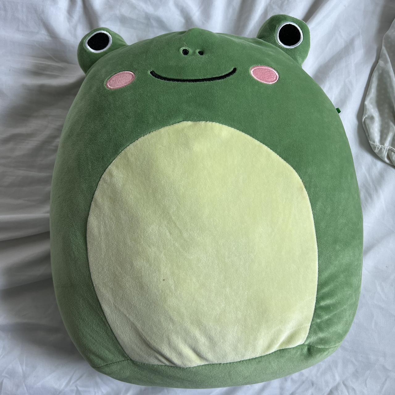 Frog squishmallow No tag - Depop
