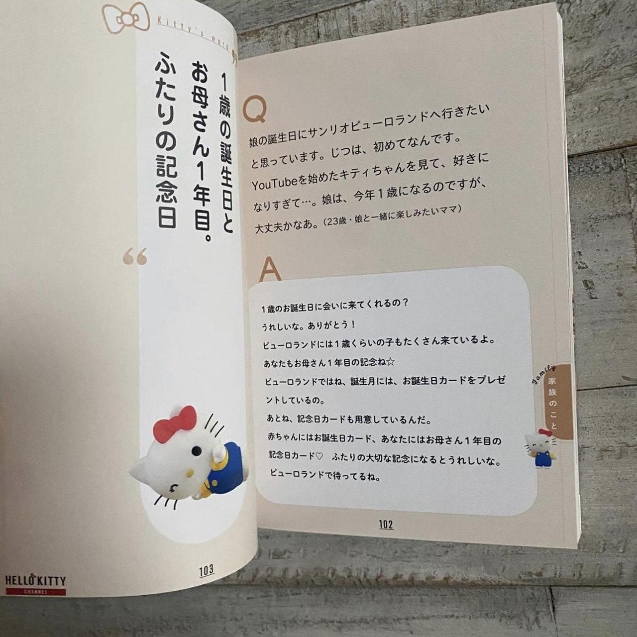 hello kitty youtuber book brand new book, straight... - Depop