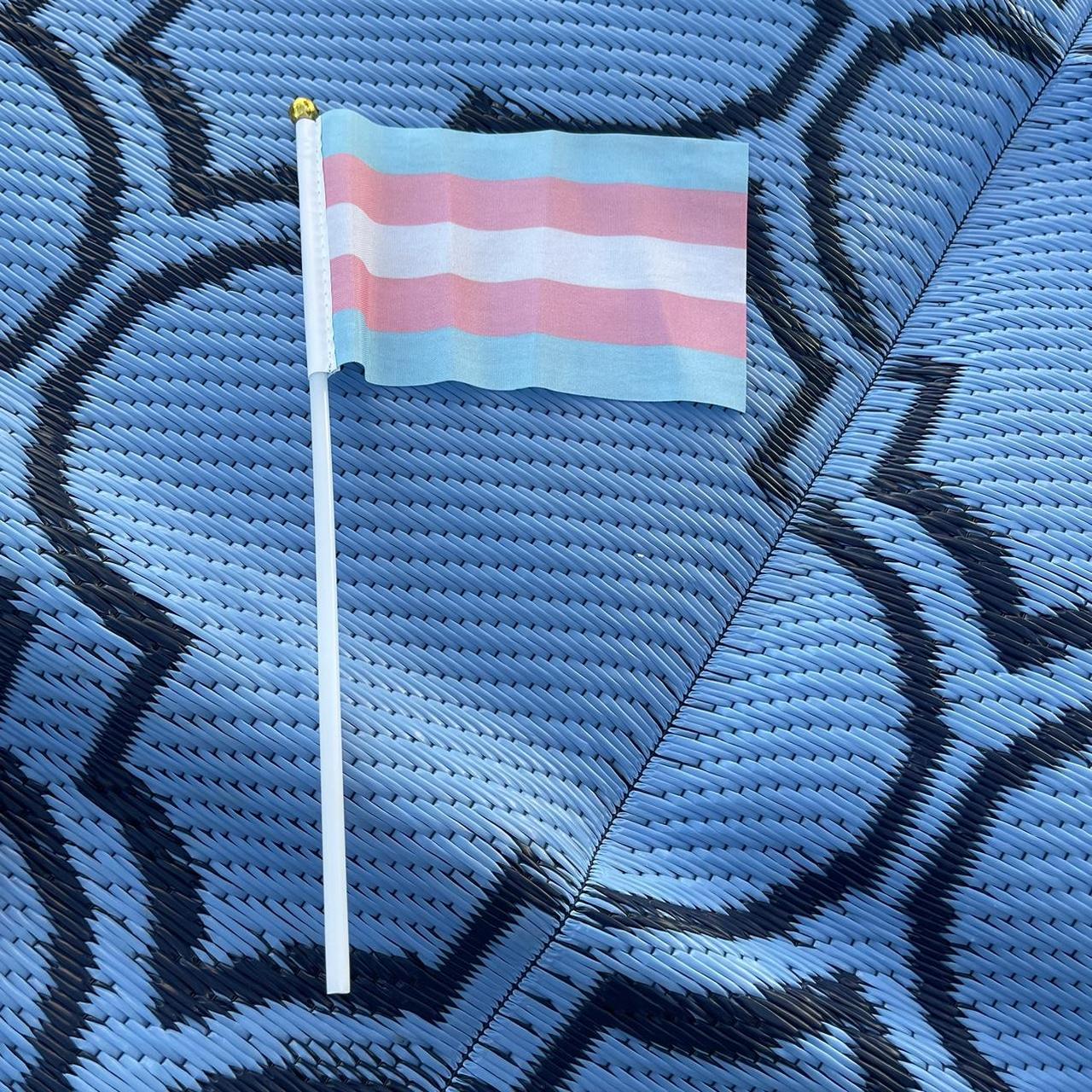mini trans pride flag I stored this product poorly.... - Depop