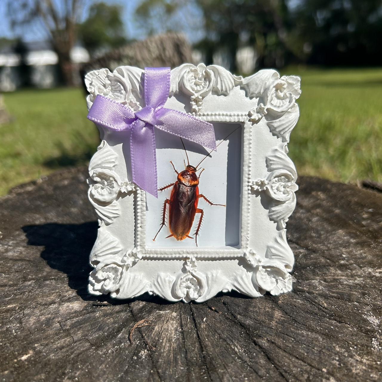 Mini cutsie bug frame with purple bow - Depop