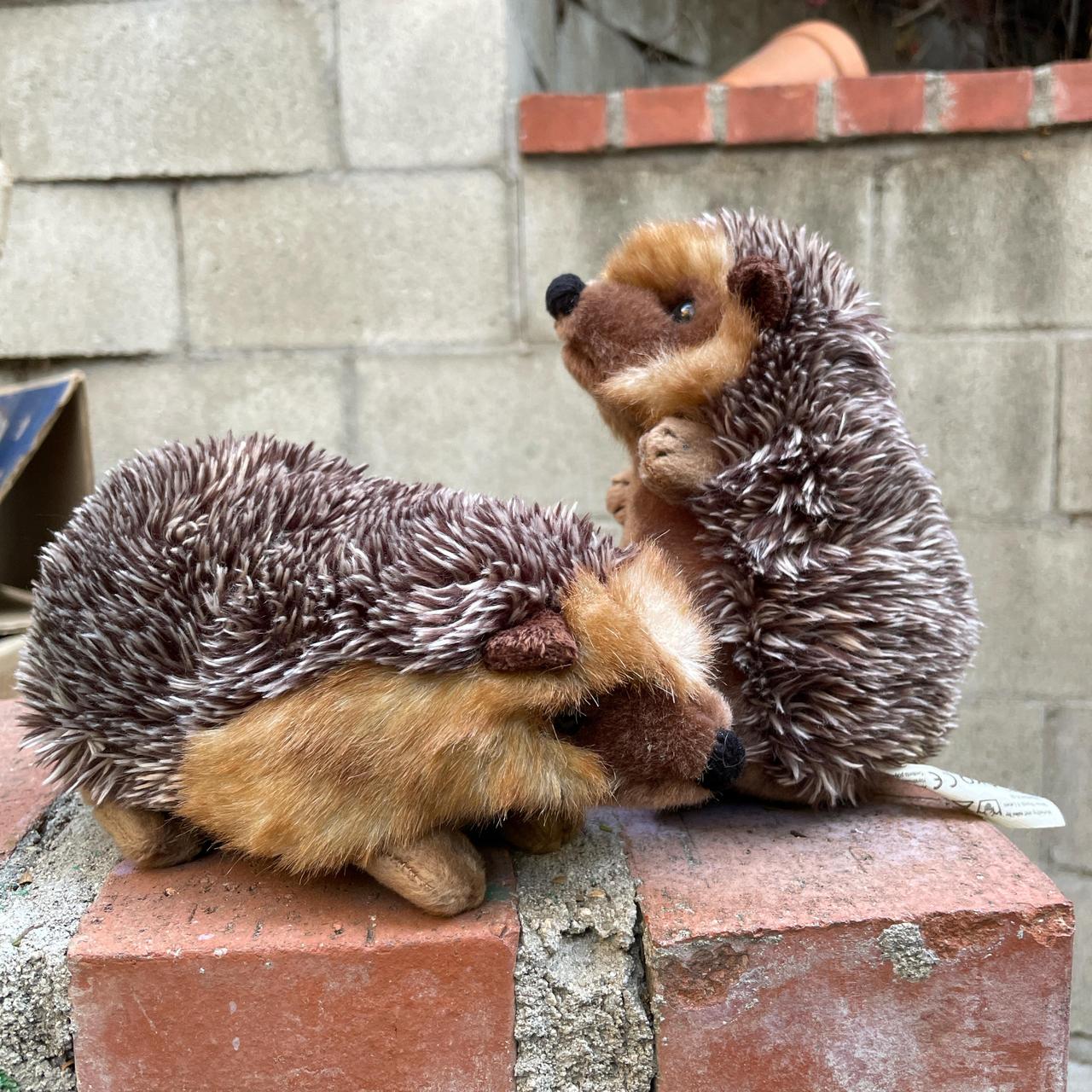 BUNDLE - 2 porcupine/hedgehog couple plush toys in... | Depop