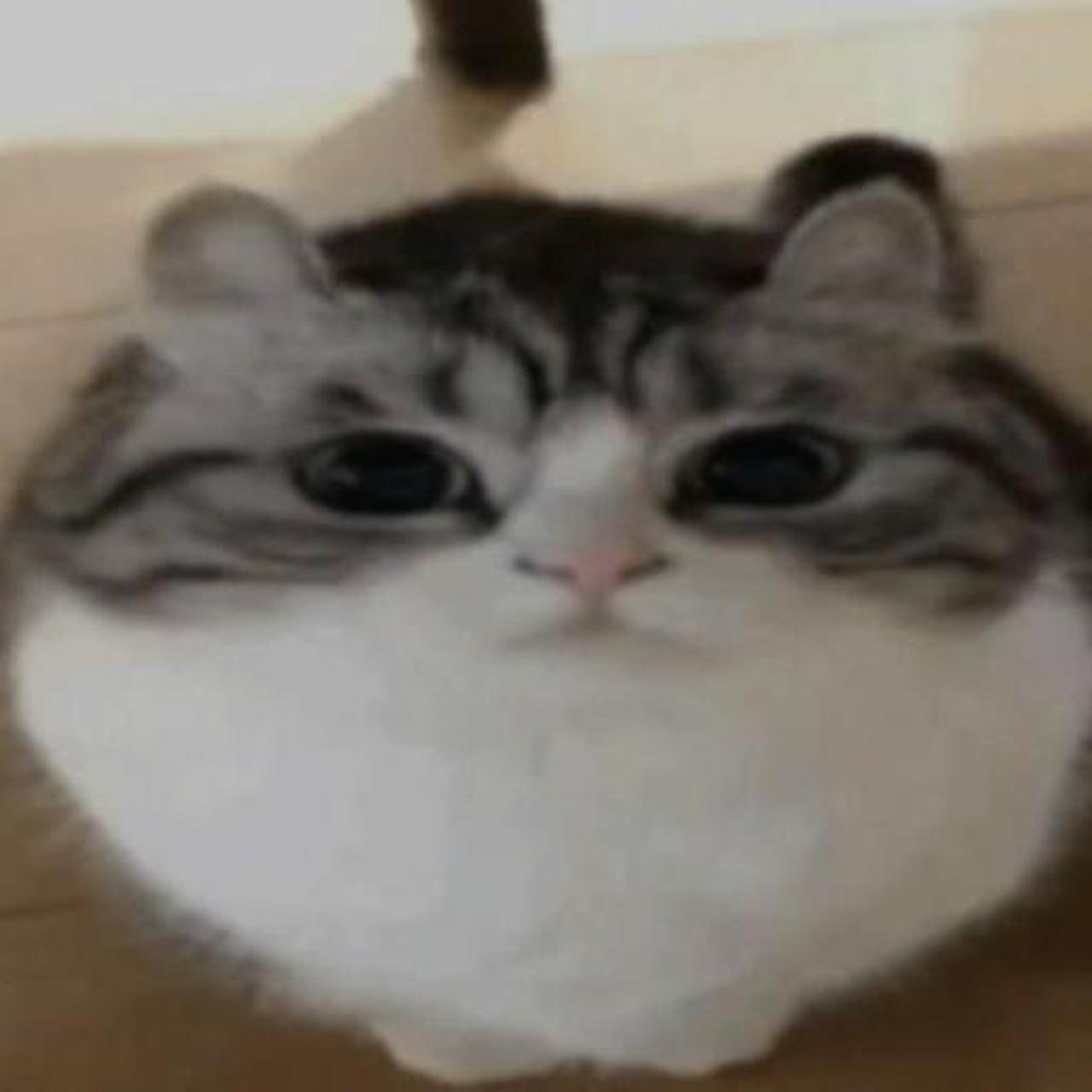 Six custom pins! | Depop