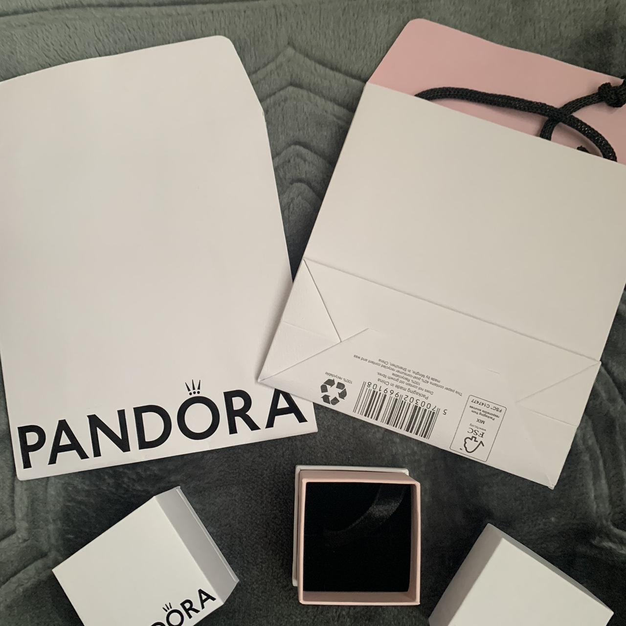 New pandora boxes and bags Comes with: 2 small... - Depop