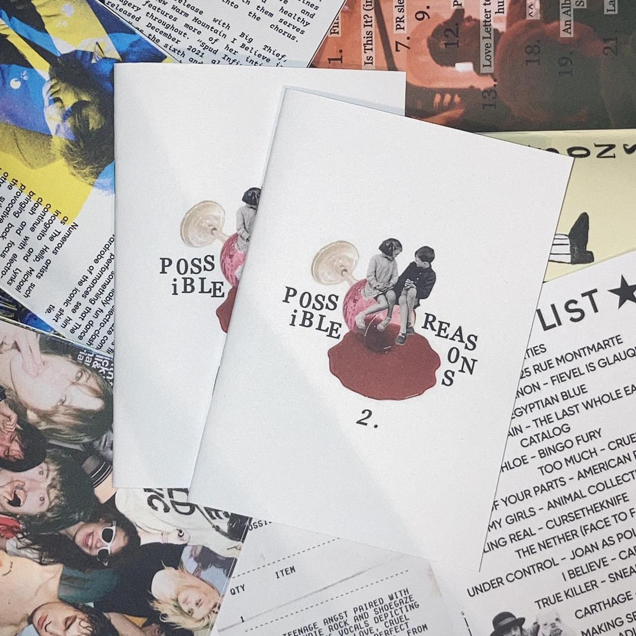POSSIBLE REASONS ISSUE 2!!! Music and subculture... - Depop