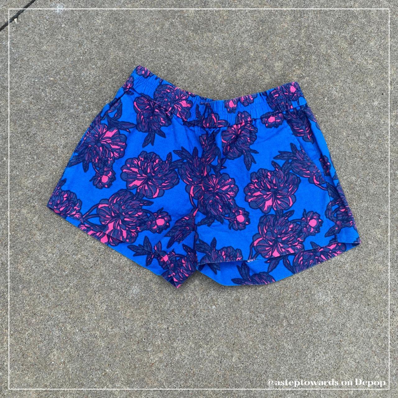 J Crew Womens Blue And Pink Shorts Depop