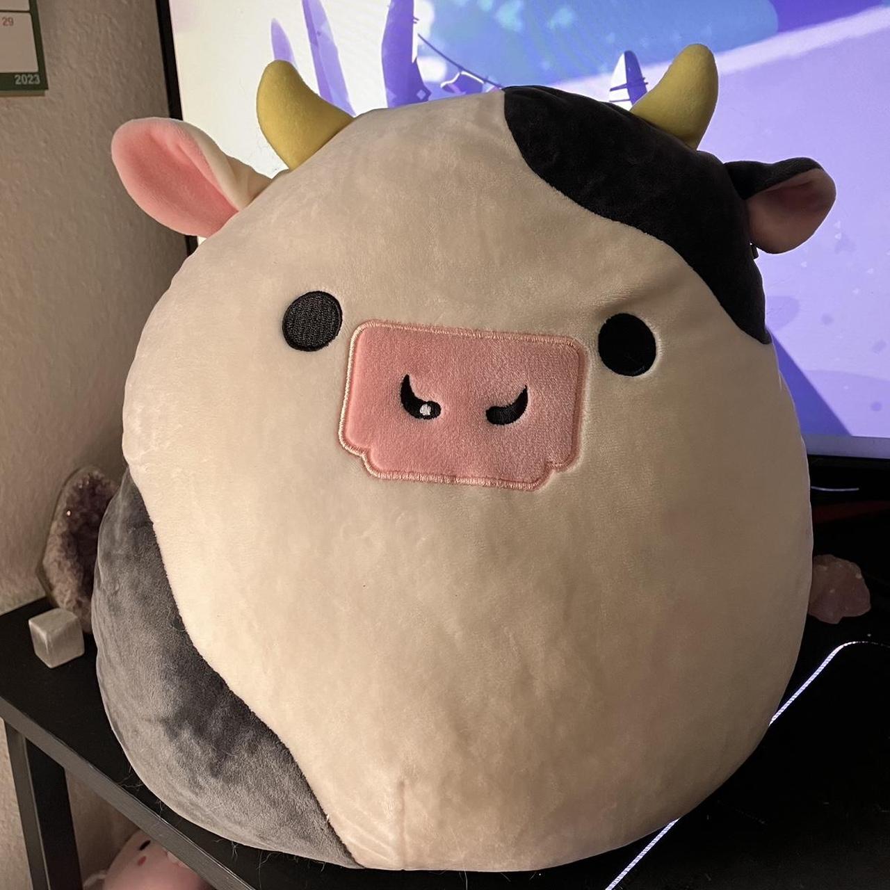 12” Clover the bull squishmallow ♡ ~ on my been... - Depop