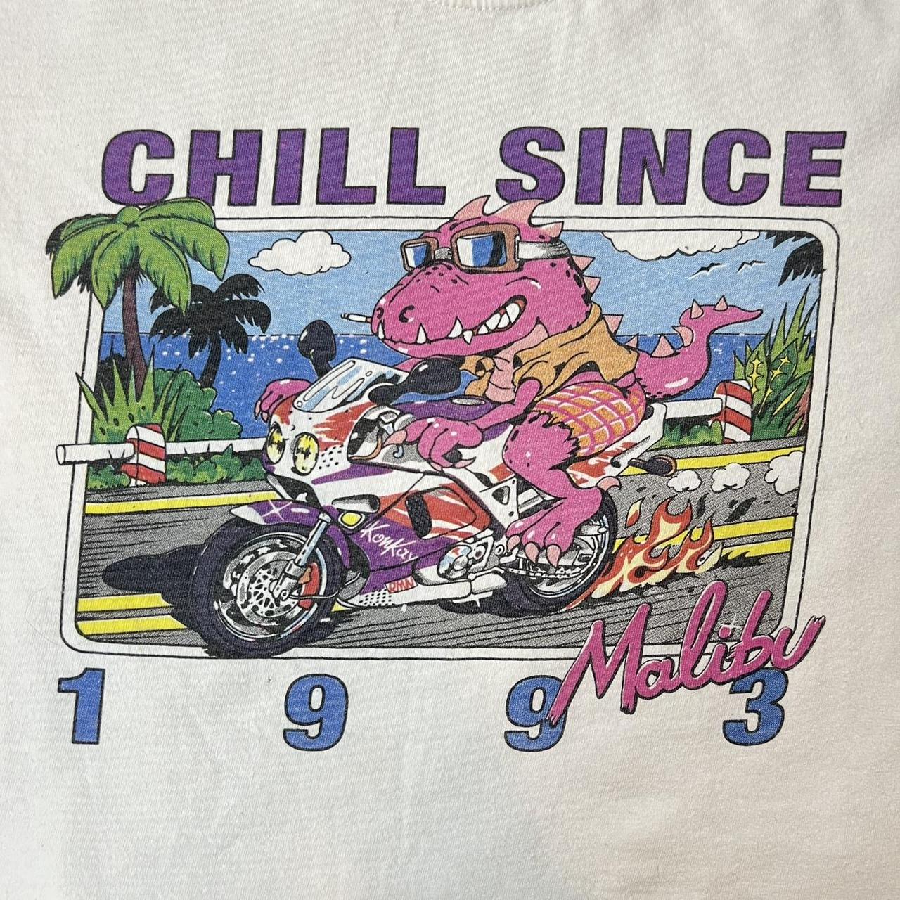 Brandy Melville Chill Since 1993 Malibu Crop Top... - Depop