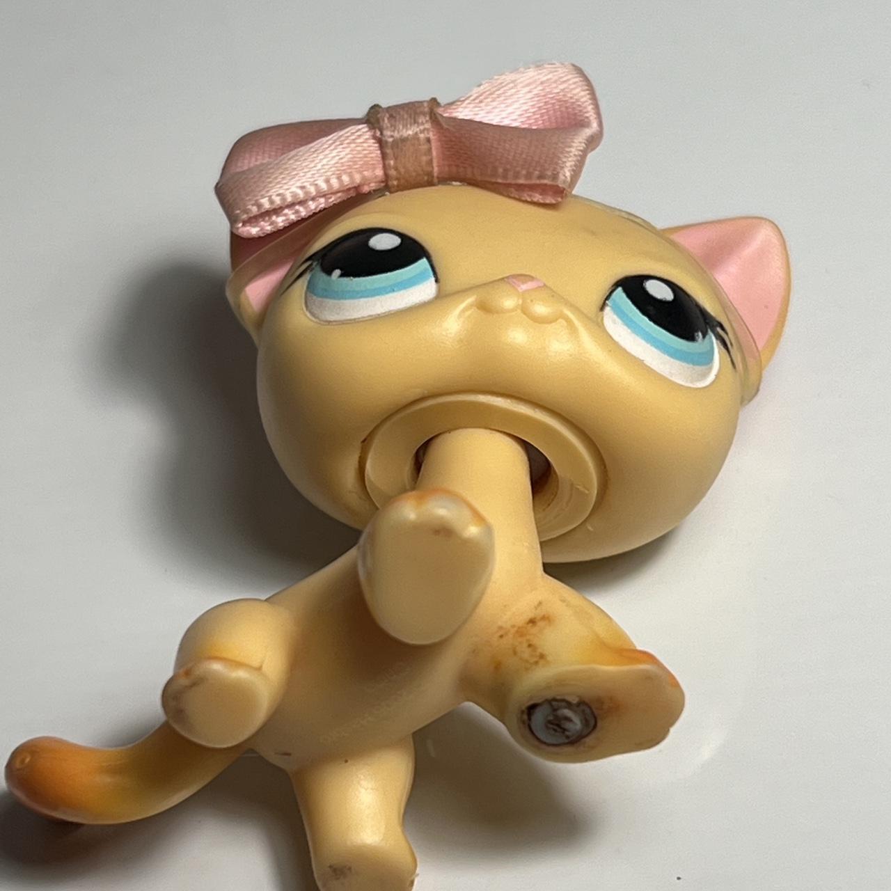 Littlest Pet Shop LPS Authentic Shorthair Cat #339 - Depop