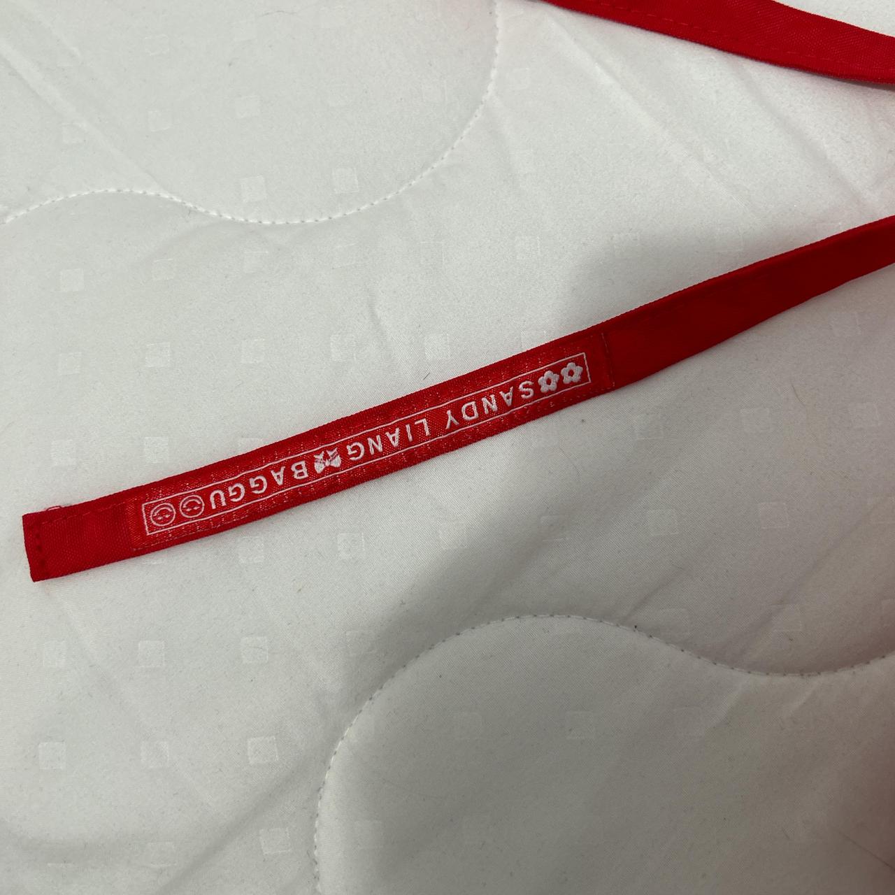 Sandy Liang Baggu red bow bag I have worn this many... - Depop