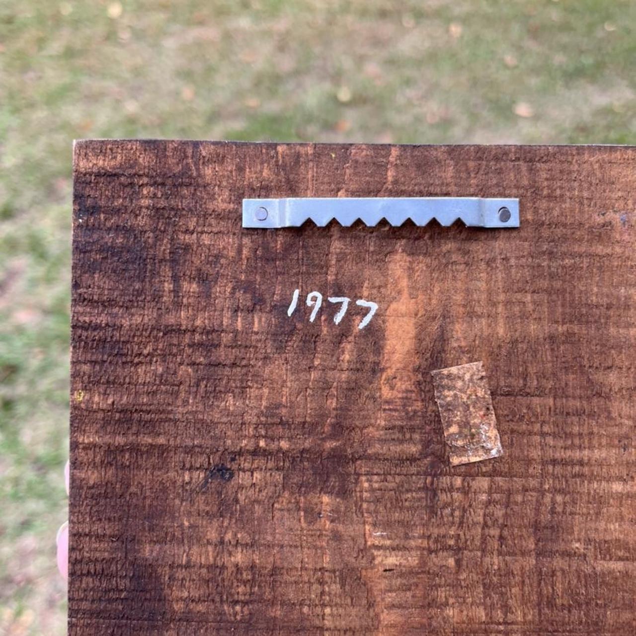 Handpainted Strawberry’s on Wood, peep the little... - Depop