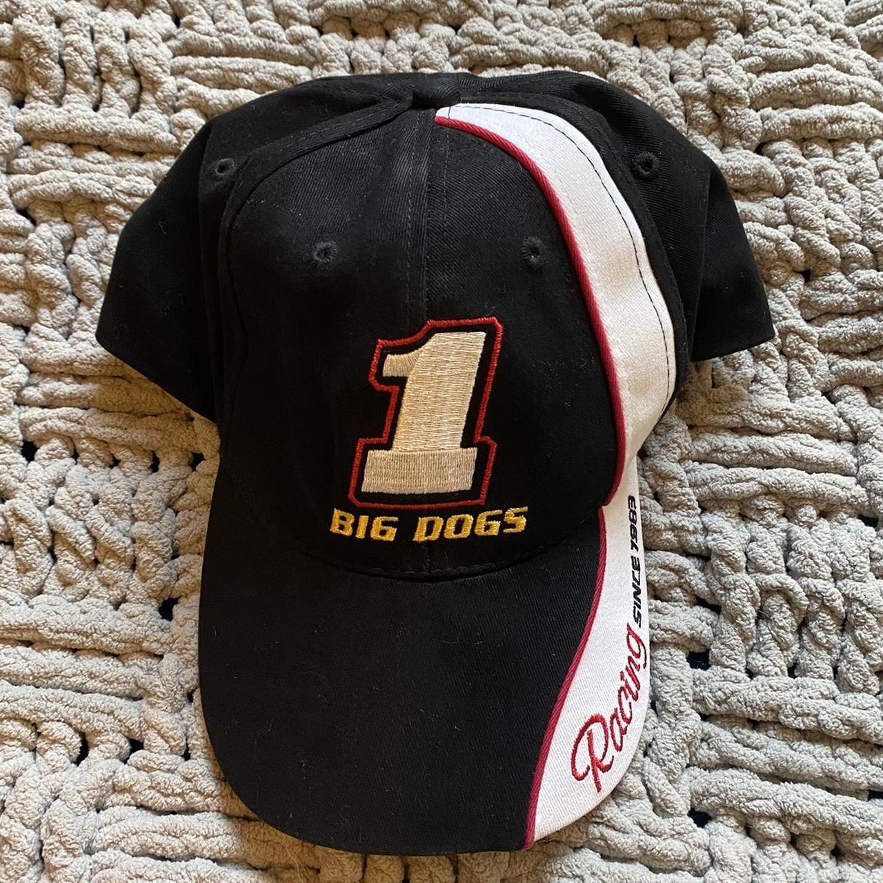 90s-early 2000s big dogs racing hat. stretchy fit.... - Depop