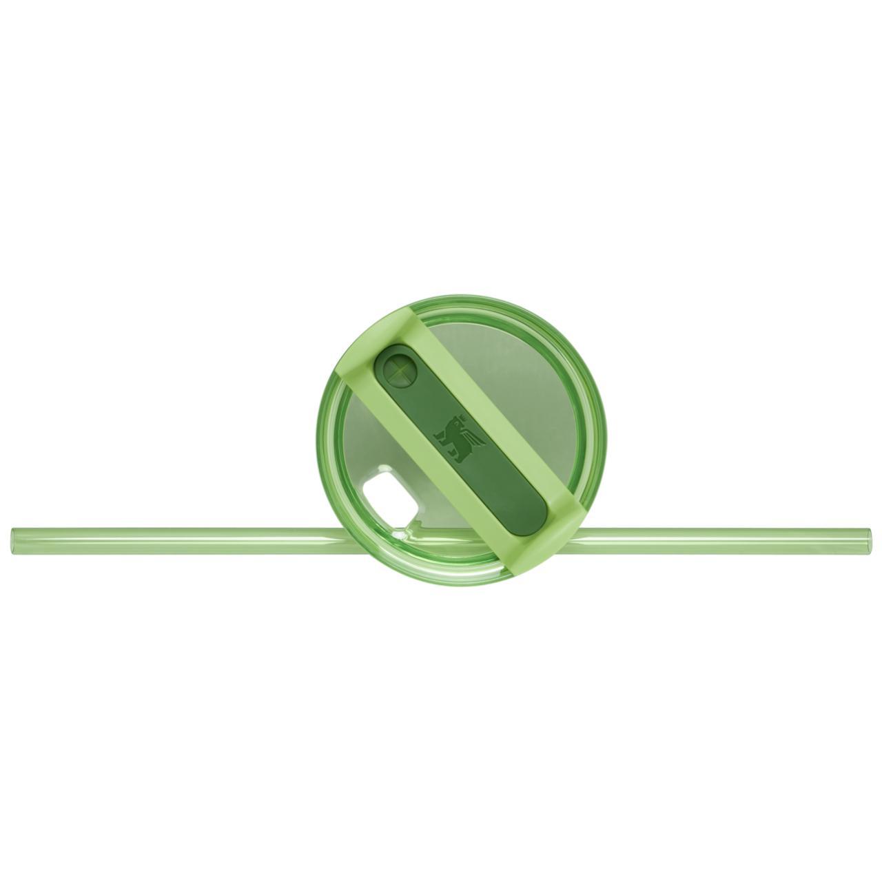 Stanley & Lainey Wilson Quencher H2.0 Tumbler... - Depop