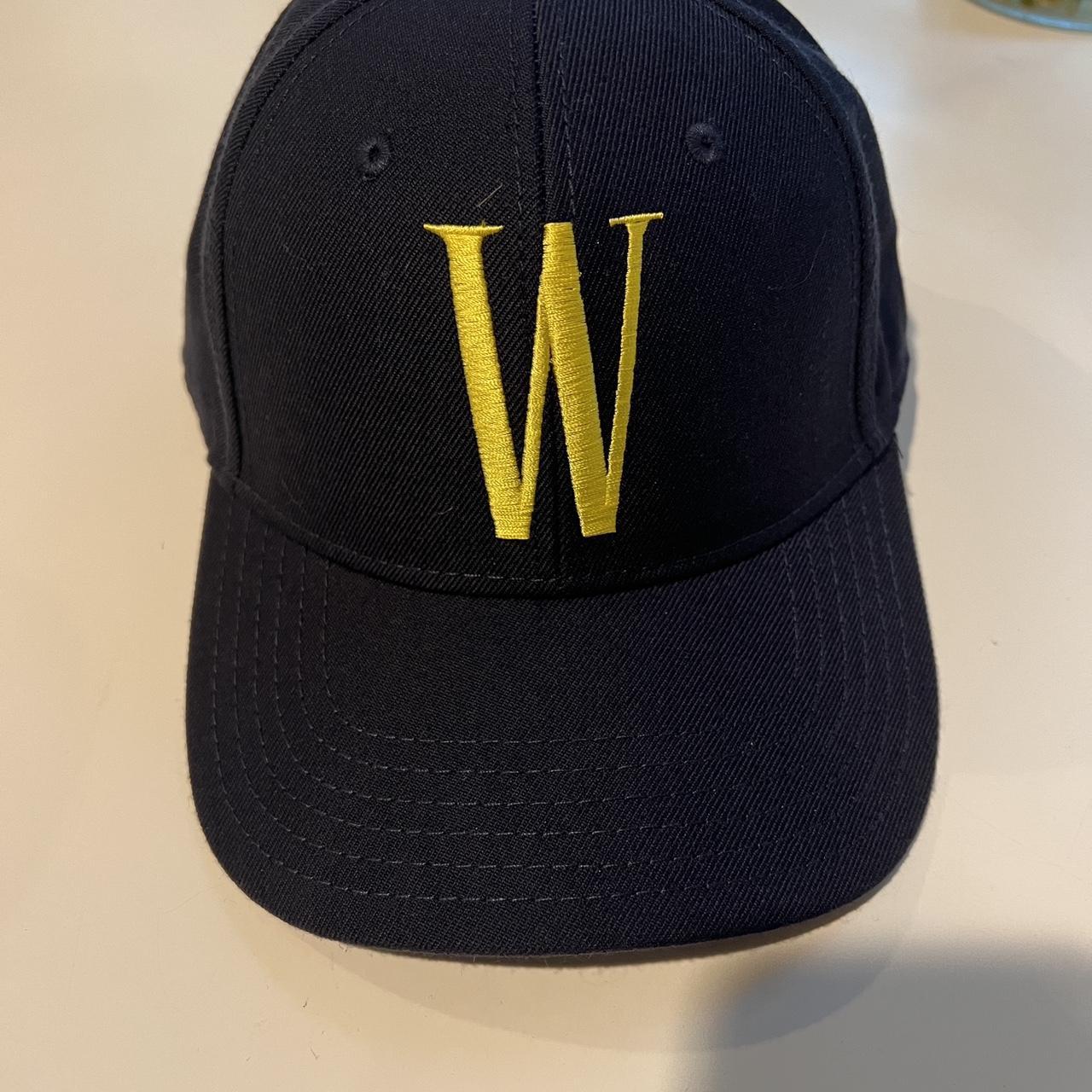 Winston Men's Hat | Depop