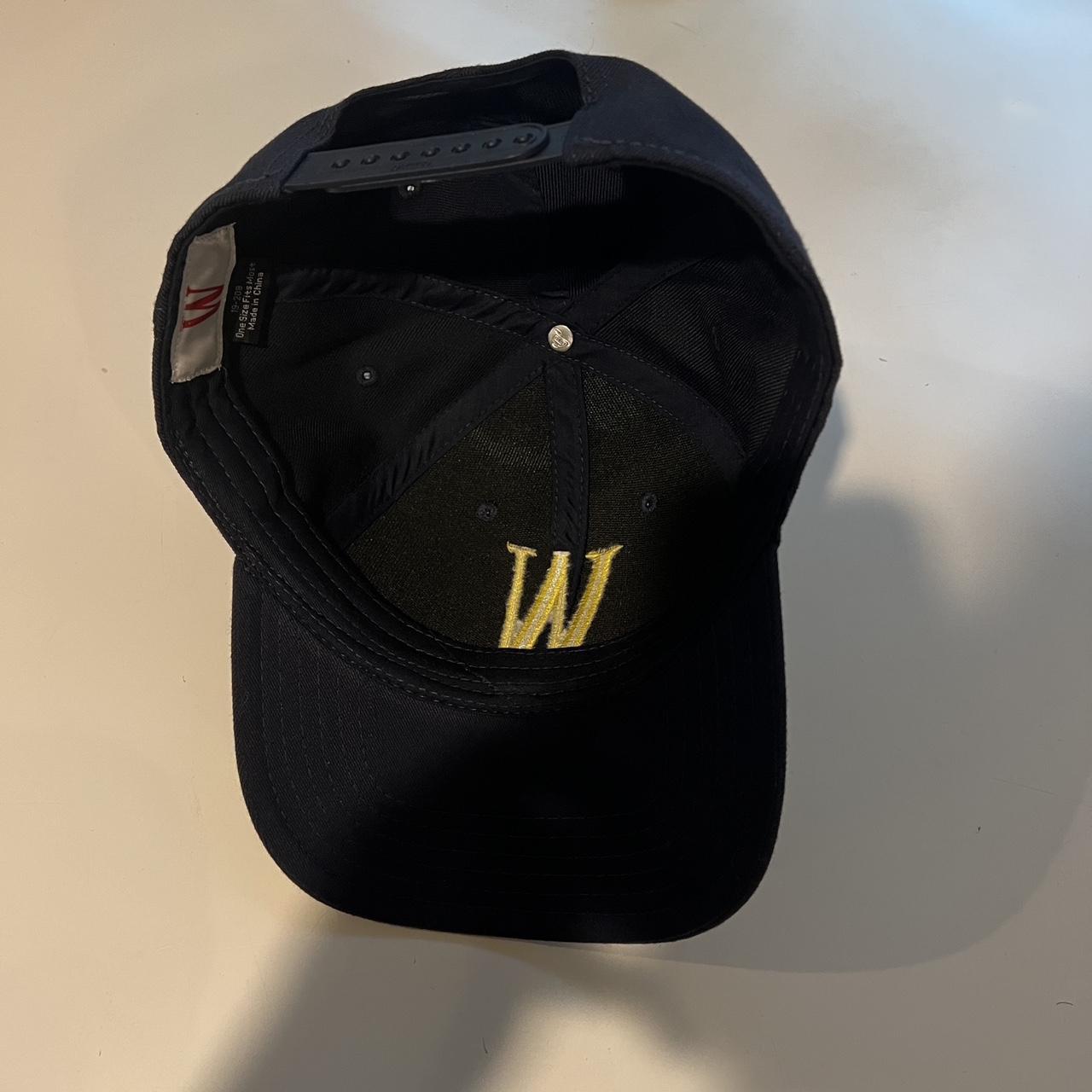 Winston Men's Hat | Depop