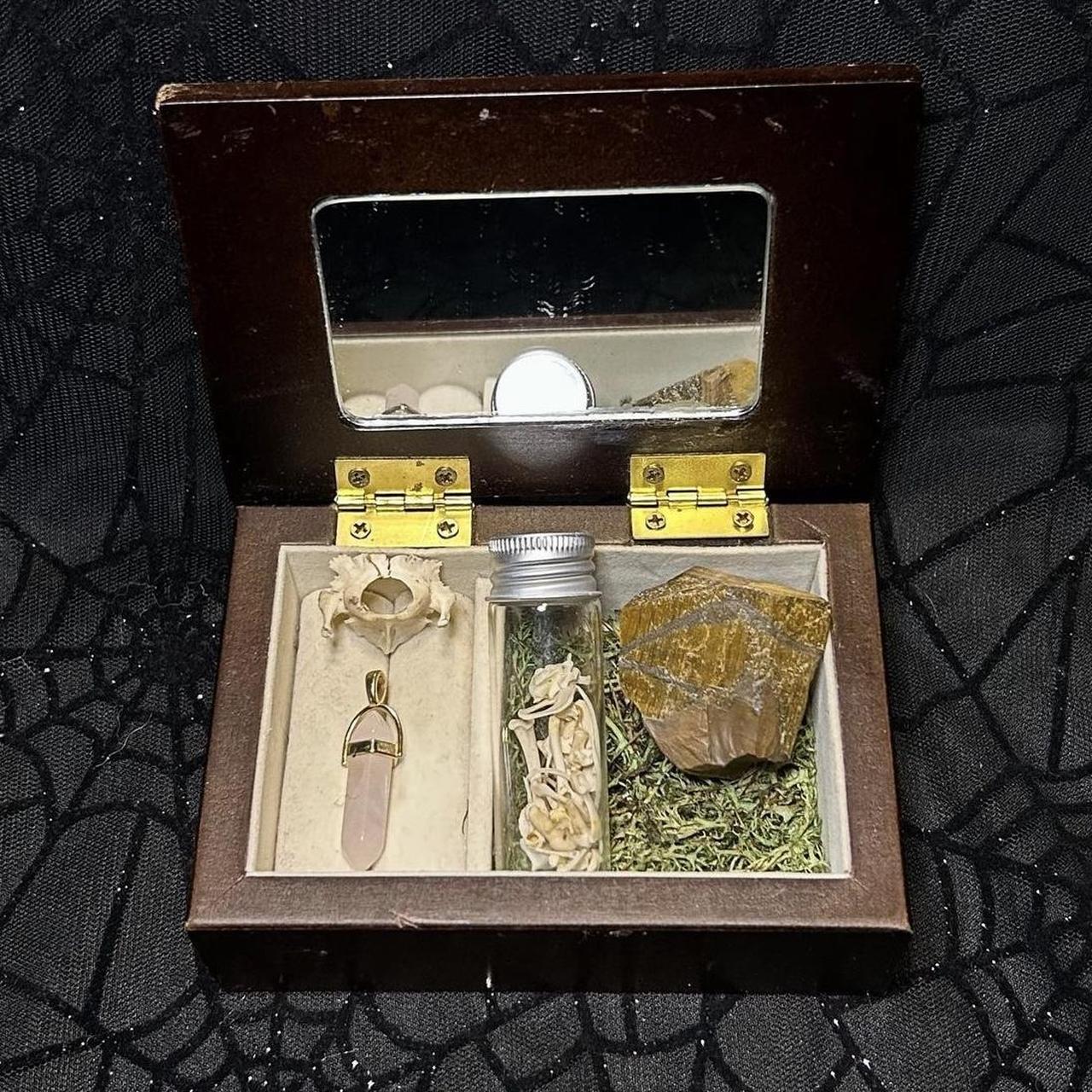 CORPSE BOX Antique jewelry box ~opossum vertebrae... - Depop