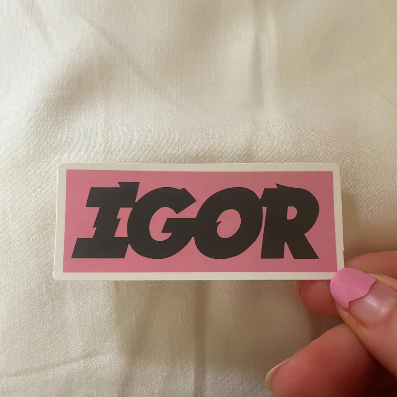 tyler the creator igor sticker #tylerthecreator... - Depop