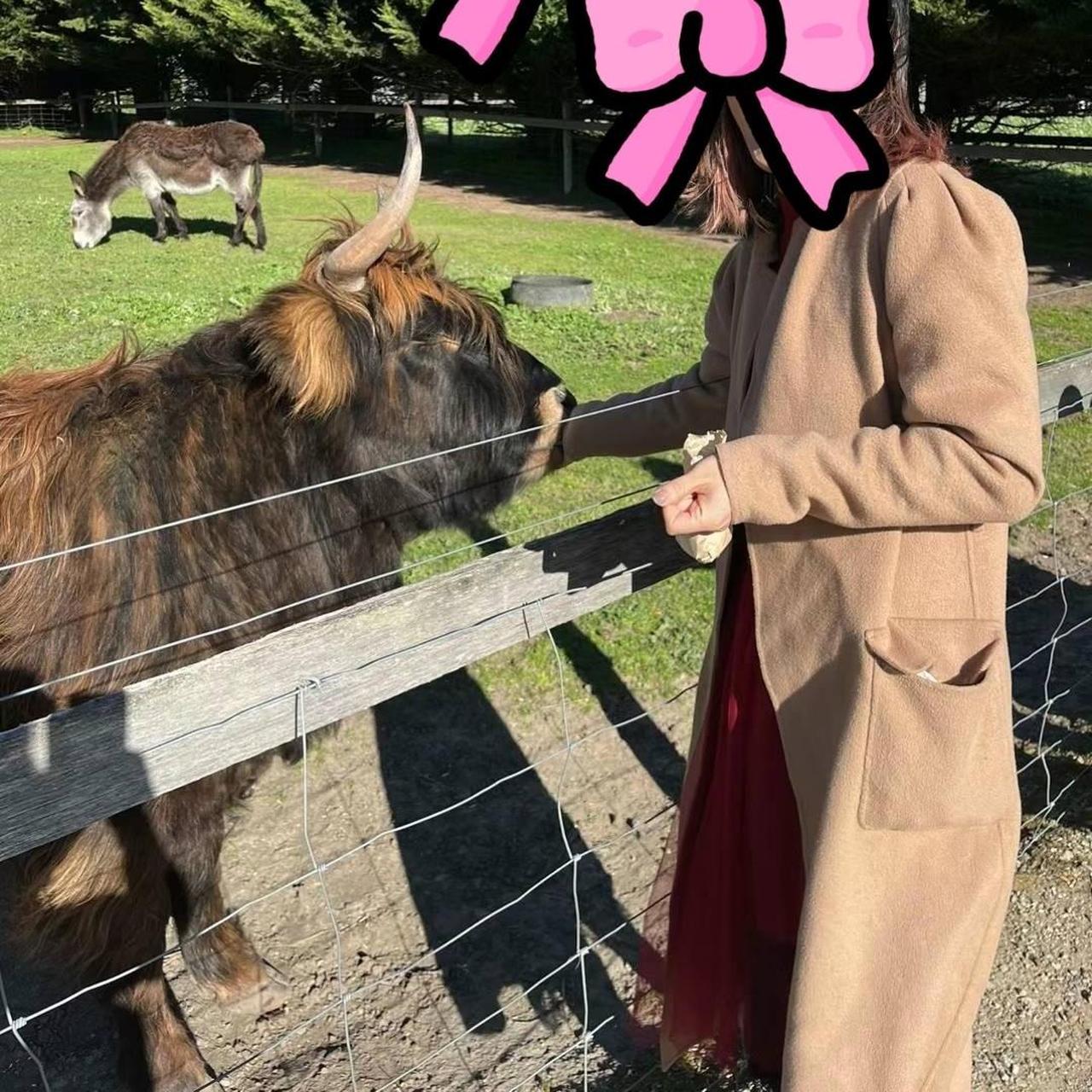 seed wool long coat | Depop