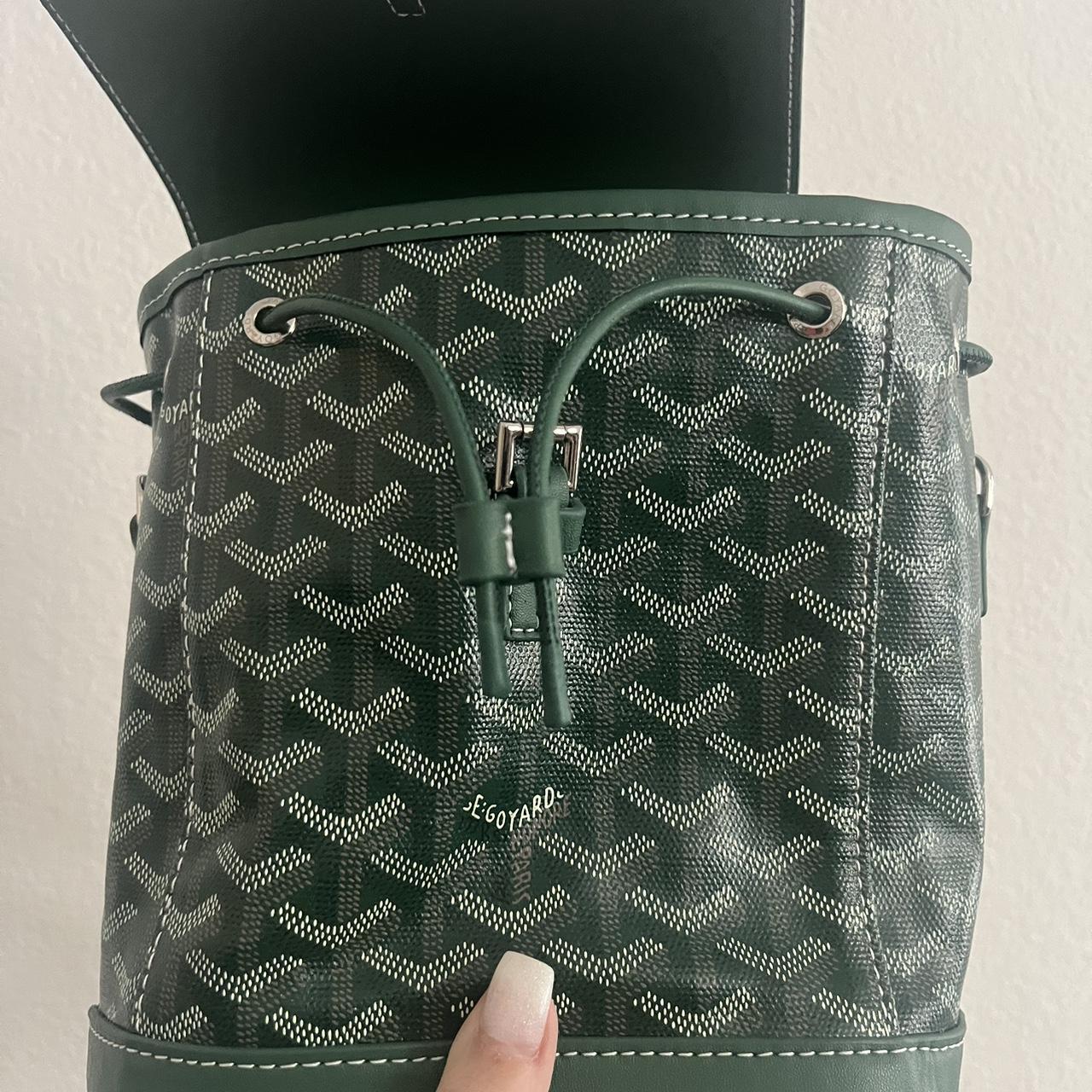 Goyard mini green backpack. One small scratch on the... - Depop