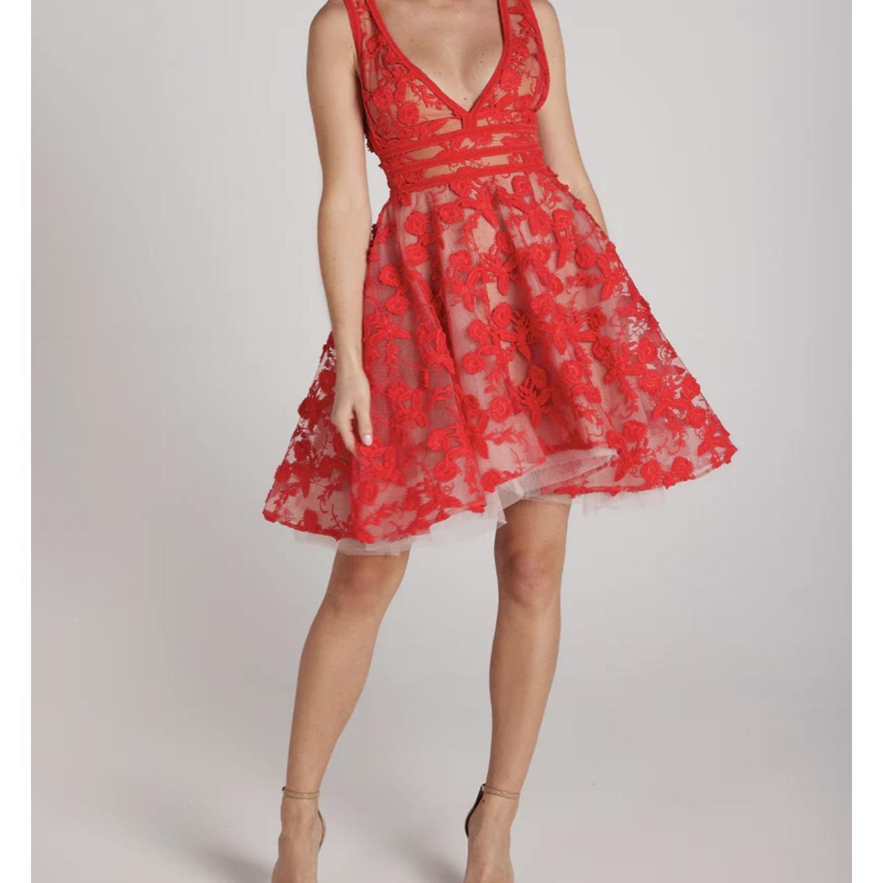 Nadine Merabi Lola Dress Red Perfect condition, worn... | Depop