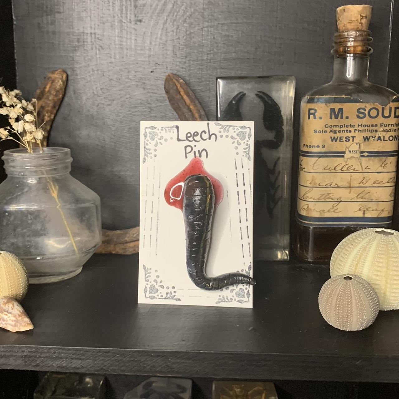 Leech pins 🩸 . Handmade by me Leech pins made out... | Depop