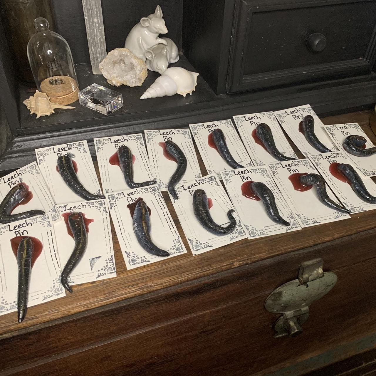 Leech pins 🩸 . Handmade by me Leech pins made out... | Depop