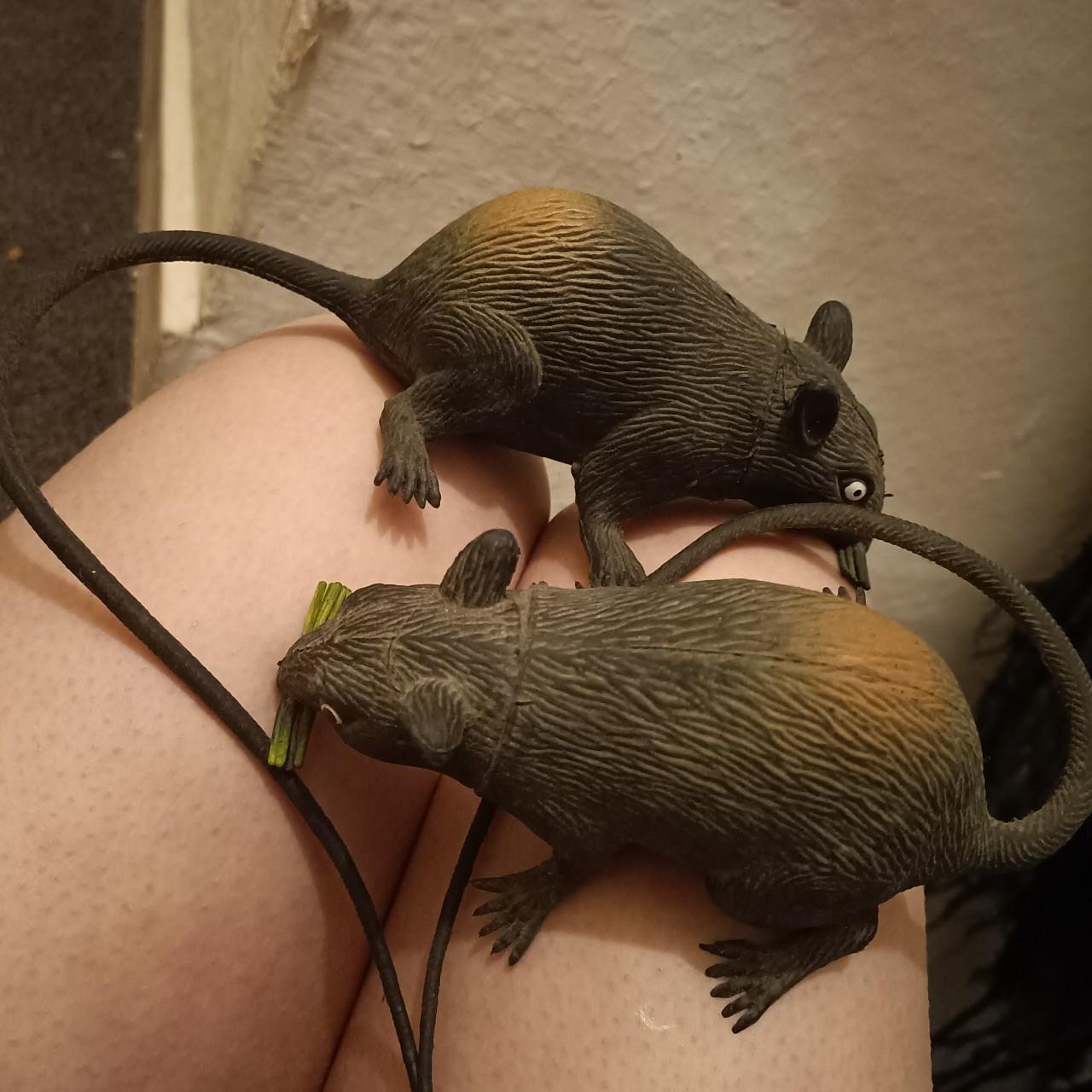 Two plastic fake rats with neon yellow effect on... - Depop