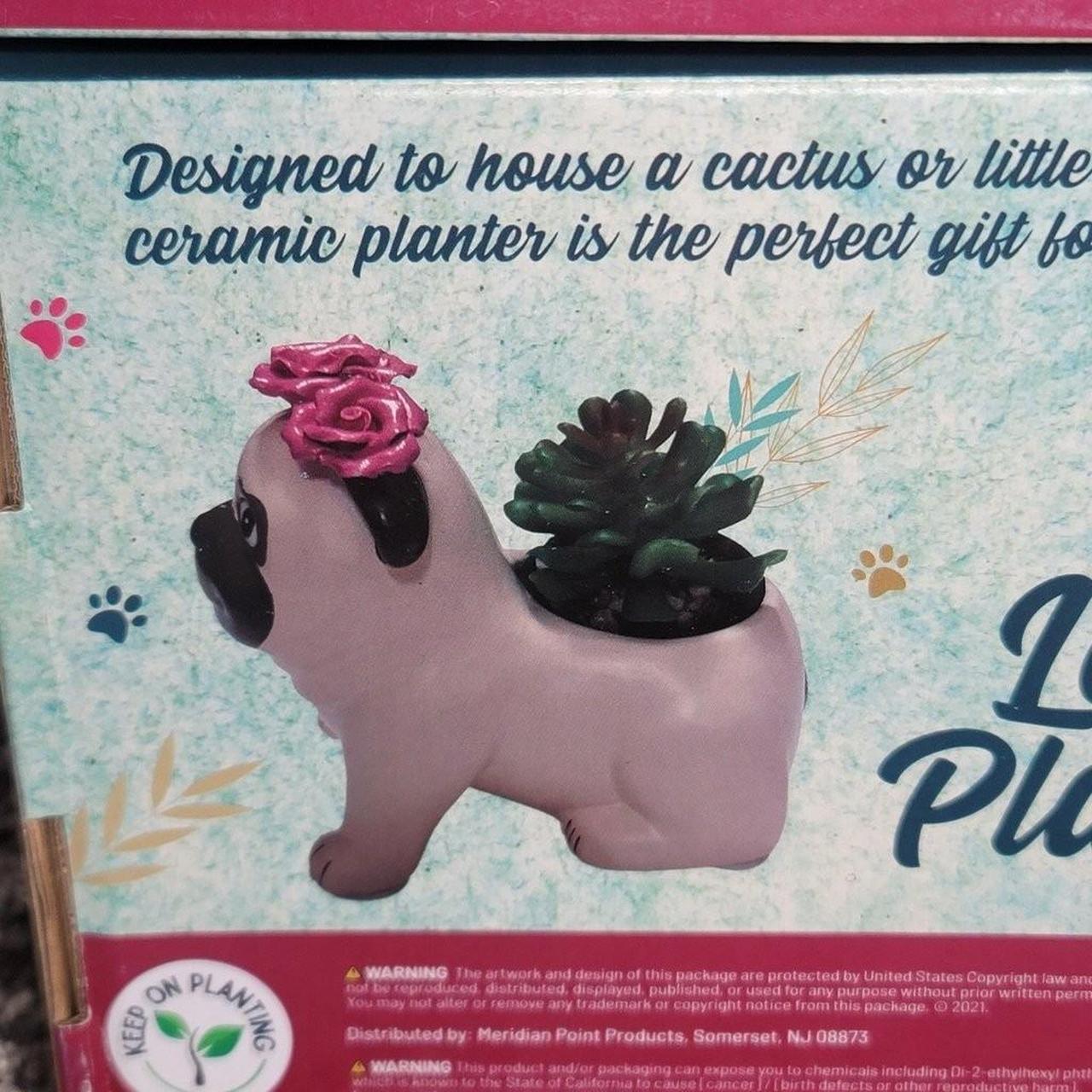 LOT/Bundle of 3 NEW Dog Succulents Planters- Pug,... - Depop