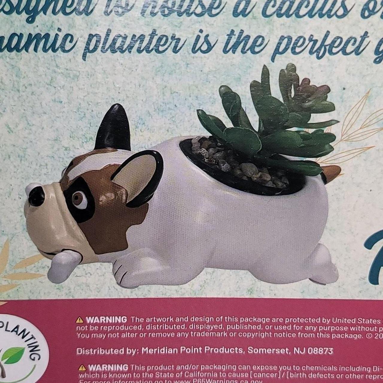 LOT/Bundle of 3 NEW Dog Succulents Planters- Pug,... - Depop