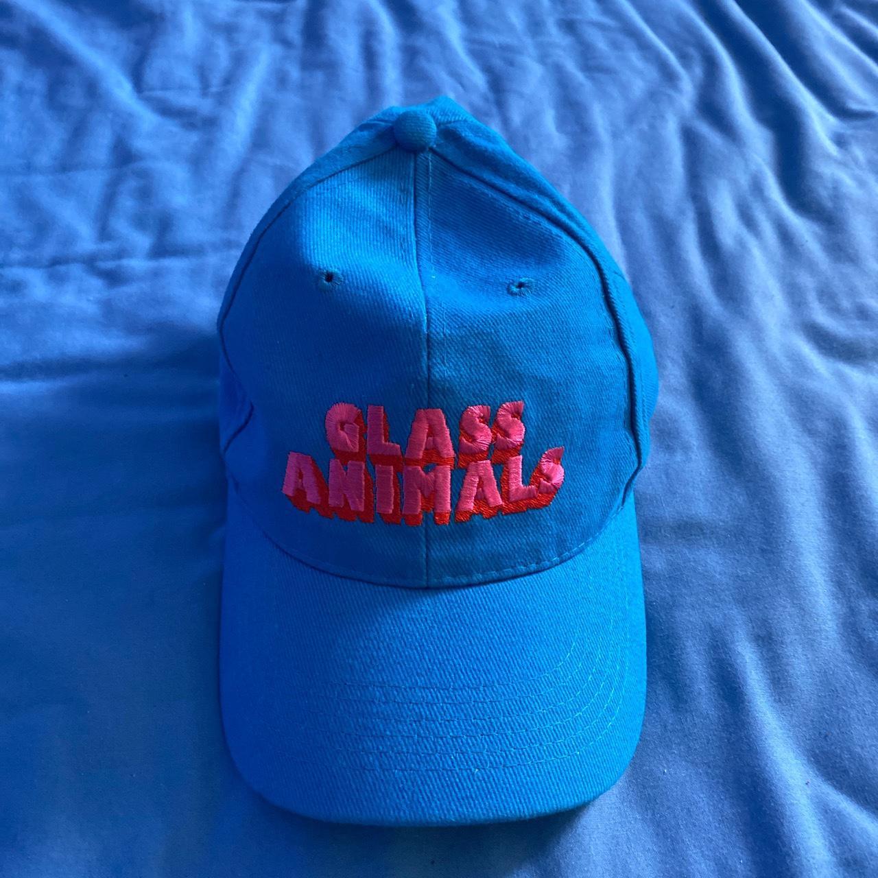 Official Glass Animals Merch Hat Bought from the... - Depop